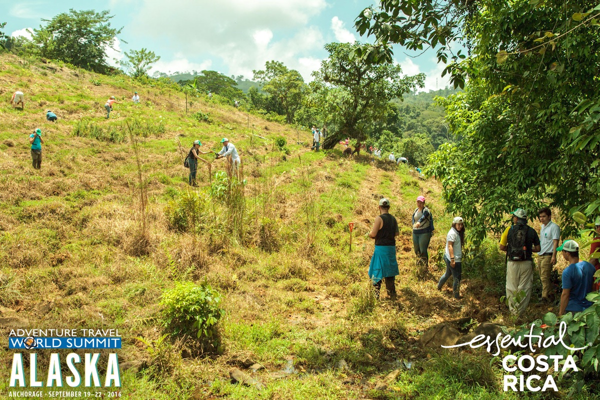 Costa Rican Reforestation Project to Mitigate Carbon Footprint of ...