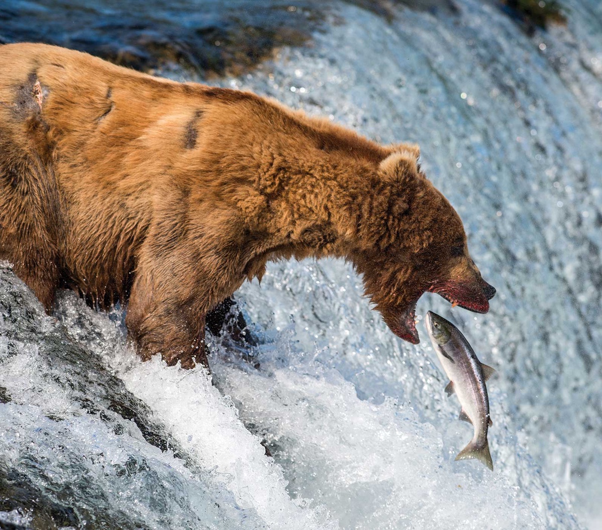 Photography Tips for Adventure Travel Professionals | Adventure Travel ...