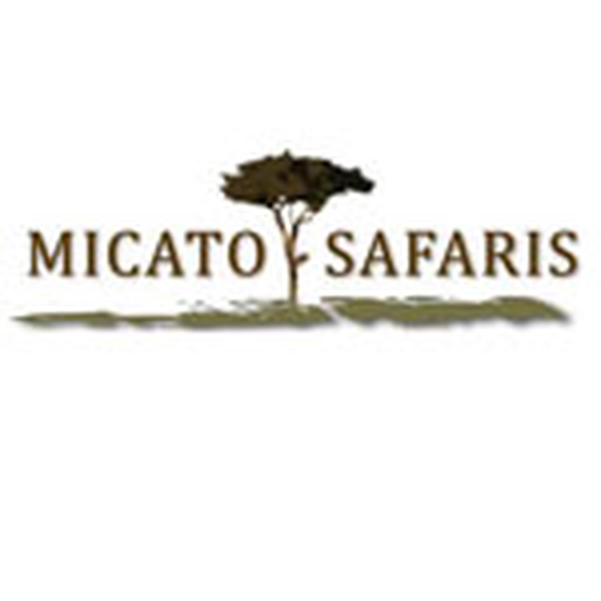 Micato Safaris Honored with Condé Nast Traveler's World Savers Award ...