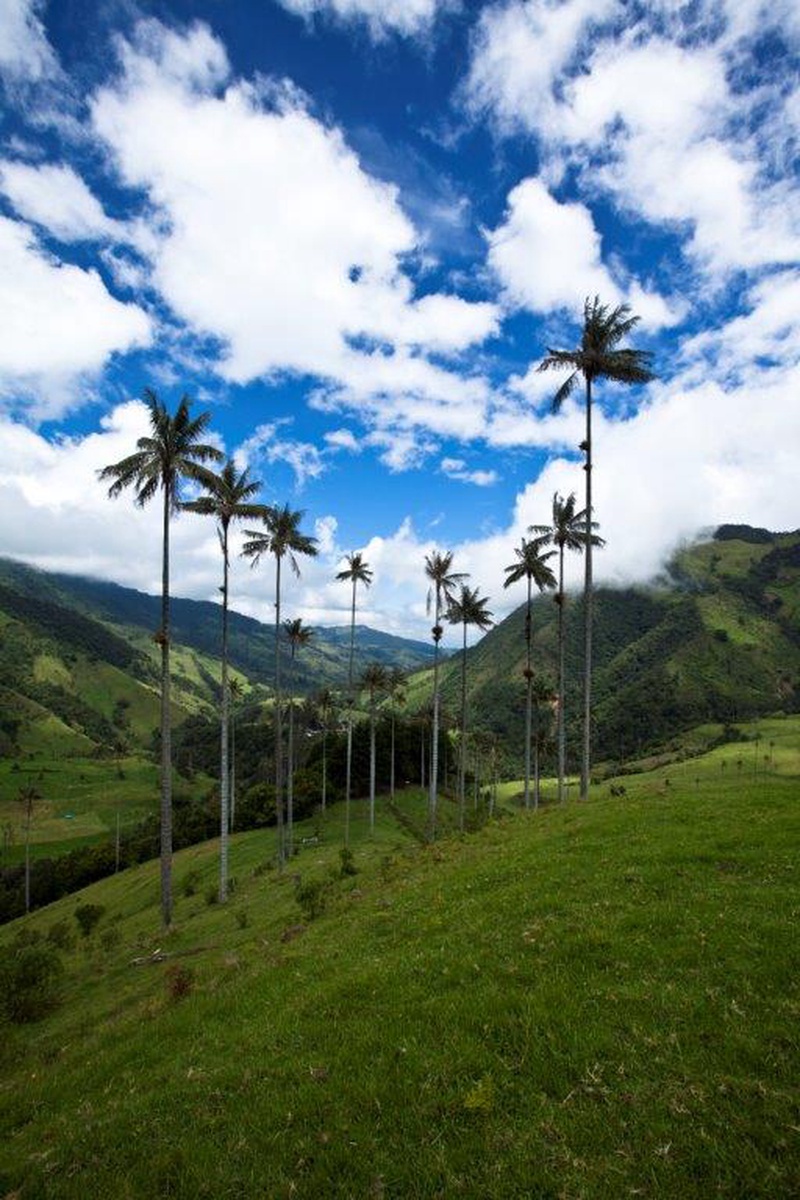 Colombia Nature Travel Mart, Where Adventures Can Be Enjoyed from Snowy ...