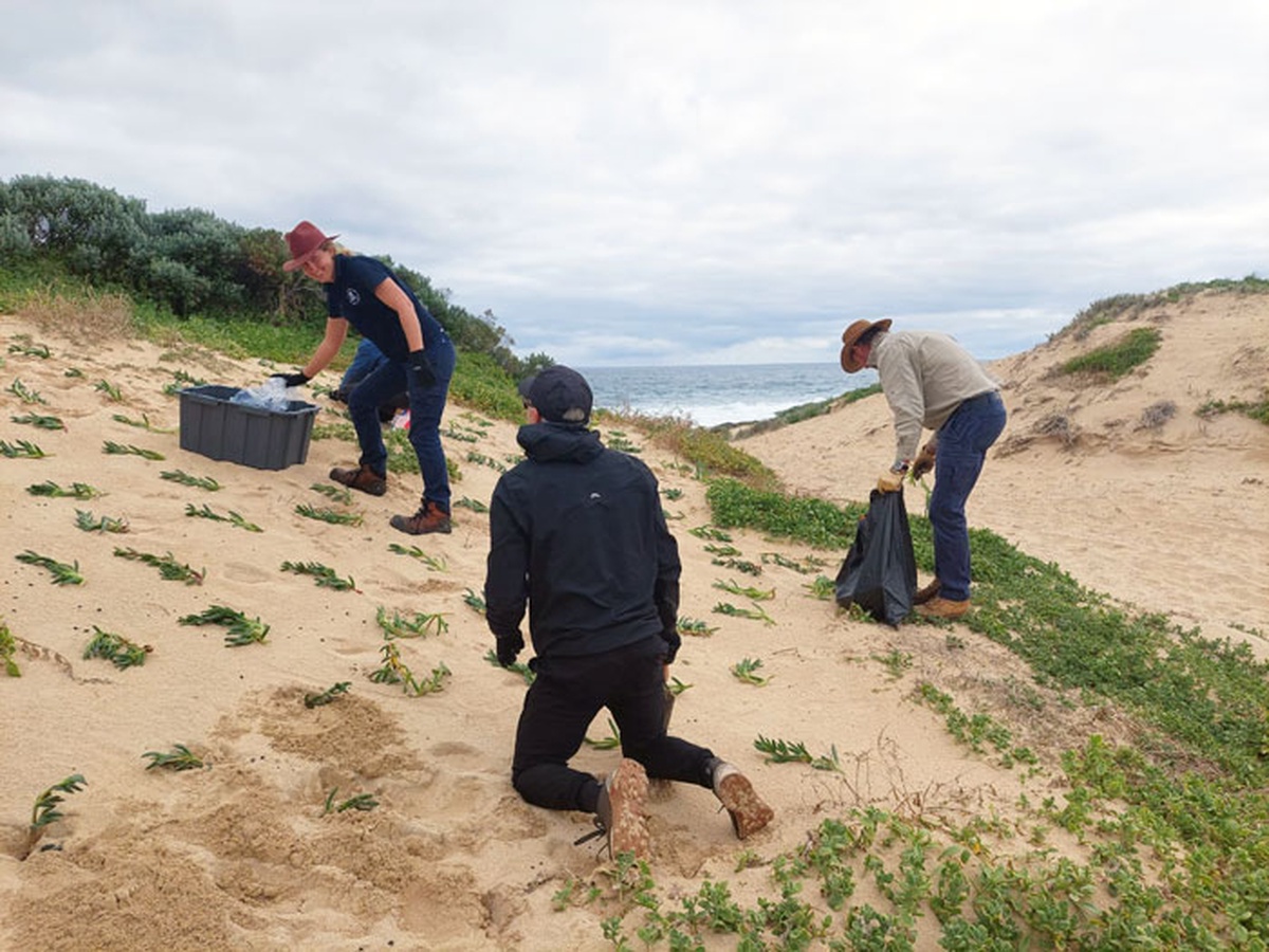 Walk into Luxury Gives Back to the Environment on the Popular Cape to ...